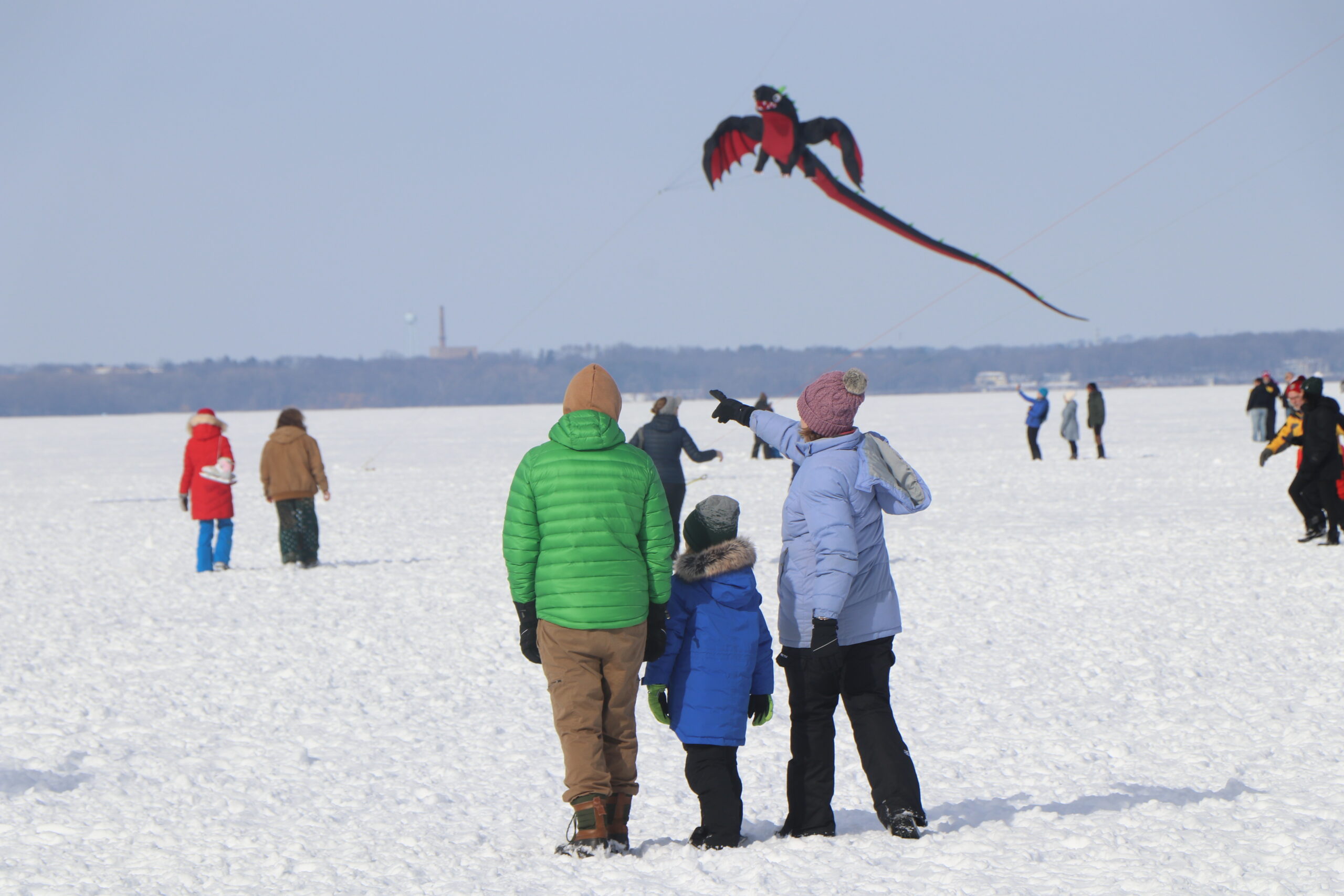 Madison Frozen Assets Festival - Madison Commons - Dane County ...