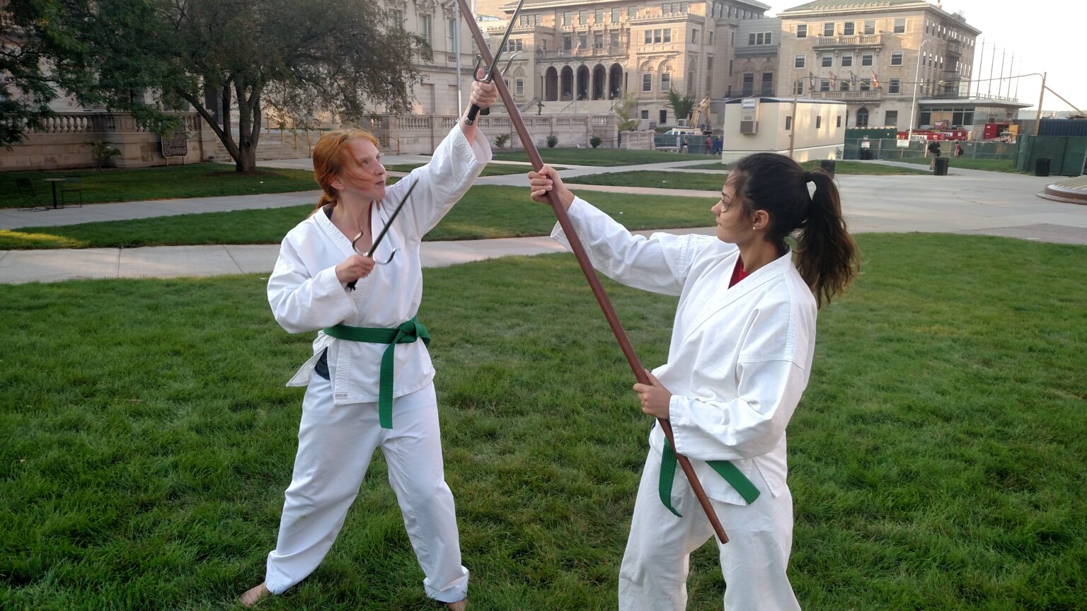 Shorin Ryu Karate brings karate tradition, culture to Madison - Madison ...