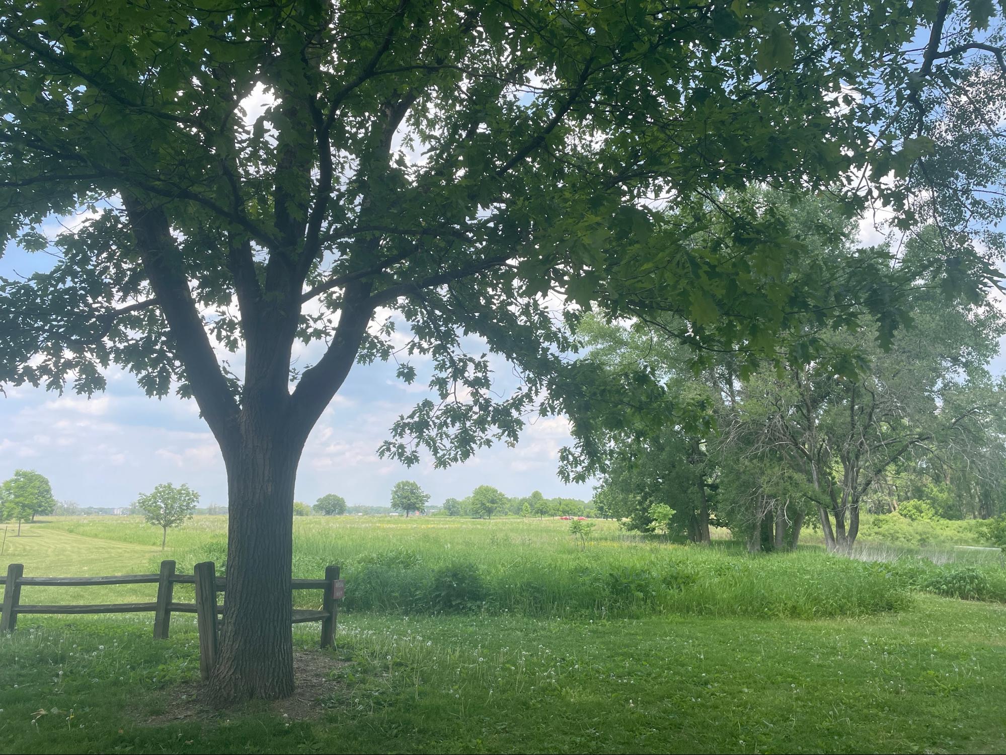Wild Harvest Nature Connection facilitates meaningful relationships ...